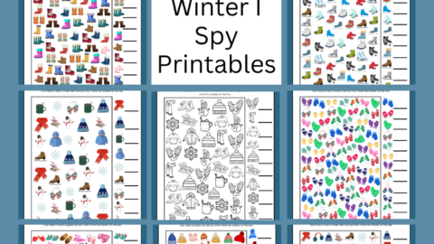 Snow Unit Study - LovingHomeschool.com