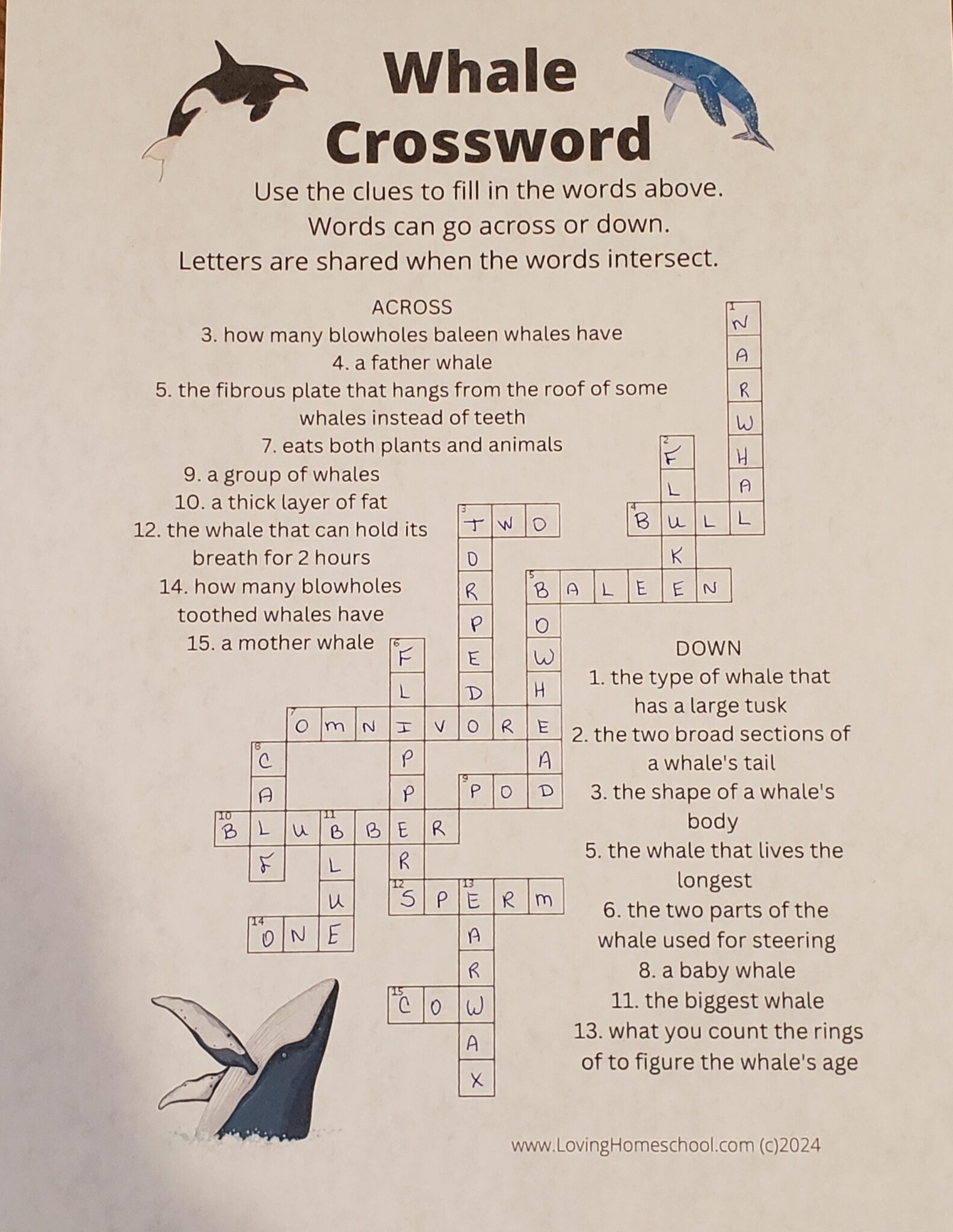Free Whale Crossword Puzzle - LovingHomeschool.com