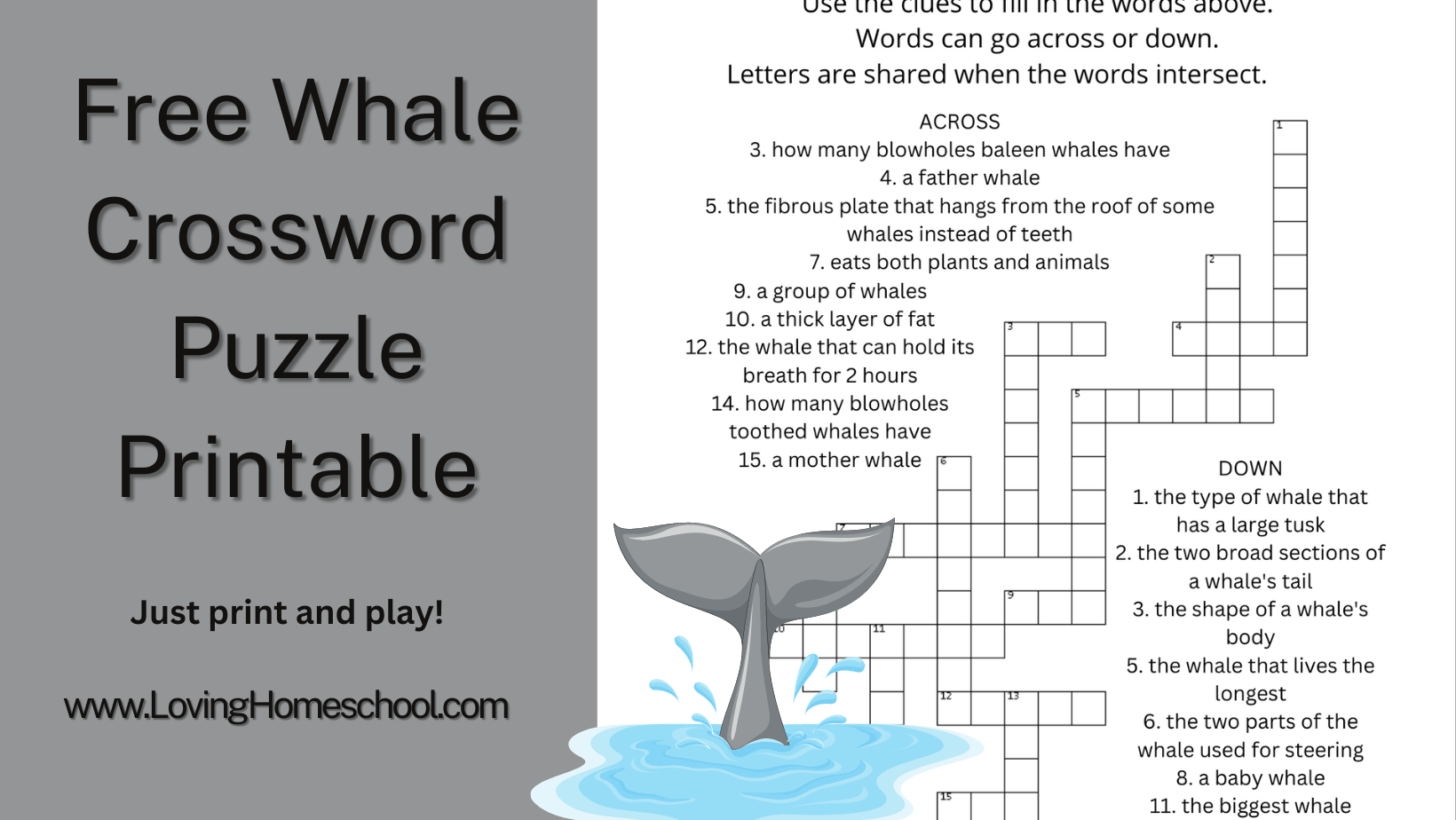 Free Whale Crossword Puzzle - LovingHomeschool.com