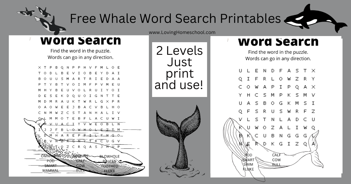 Whale Word Search Printables - LovingHomeschool.com
