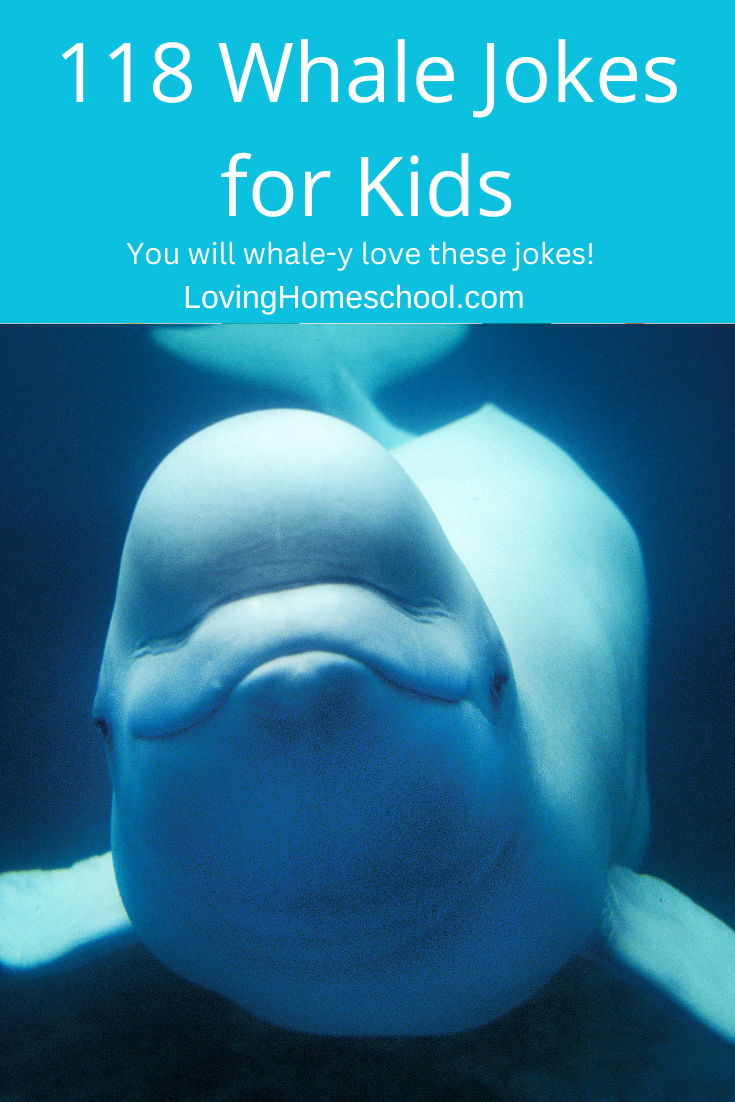 118 Whale Jokes for Kids - LovingHomeschool.com