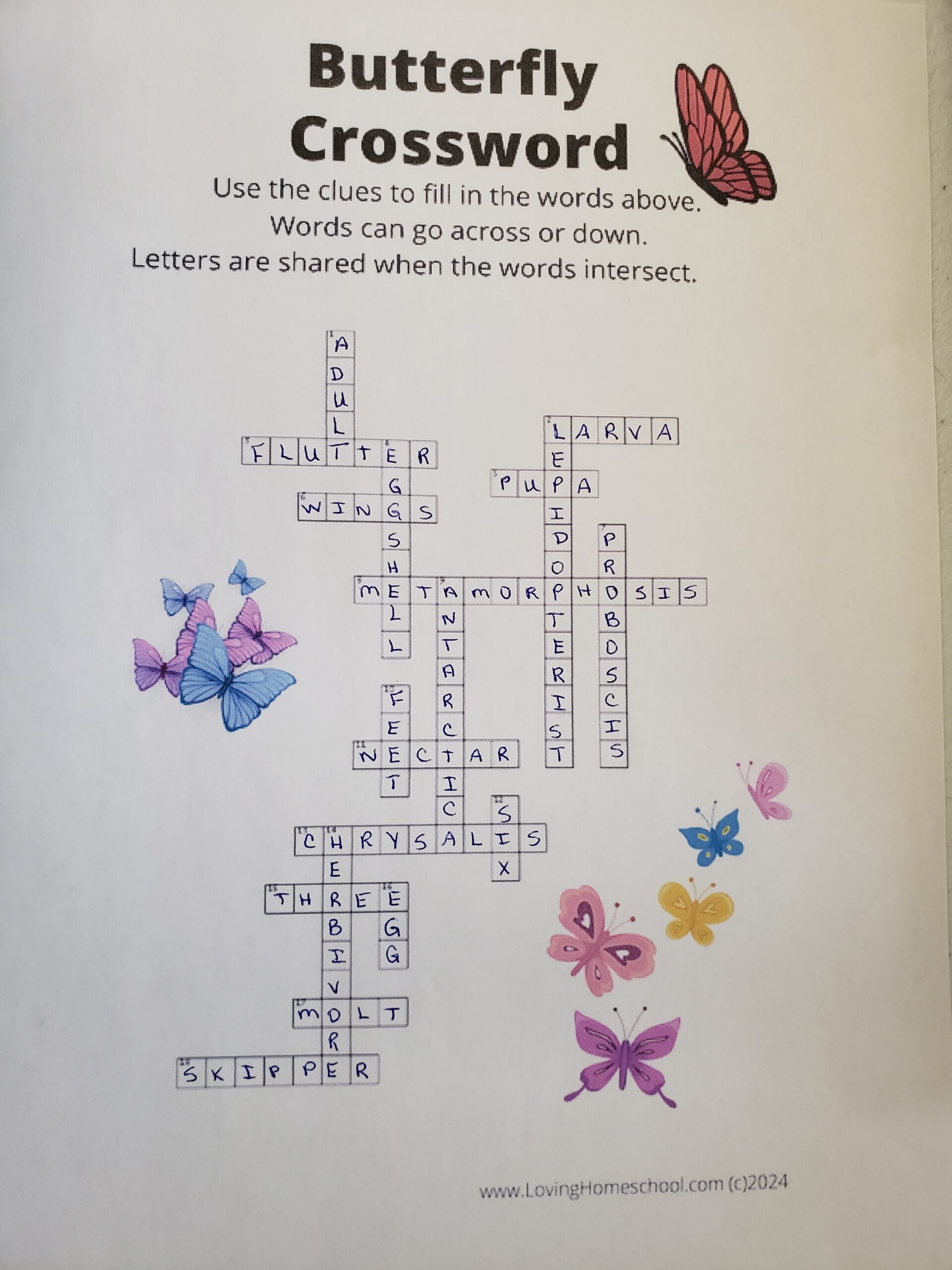 Free Butterfly Crossword Puzzle - LovingHomeschool.com