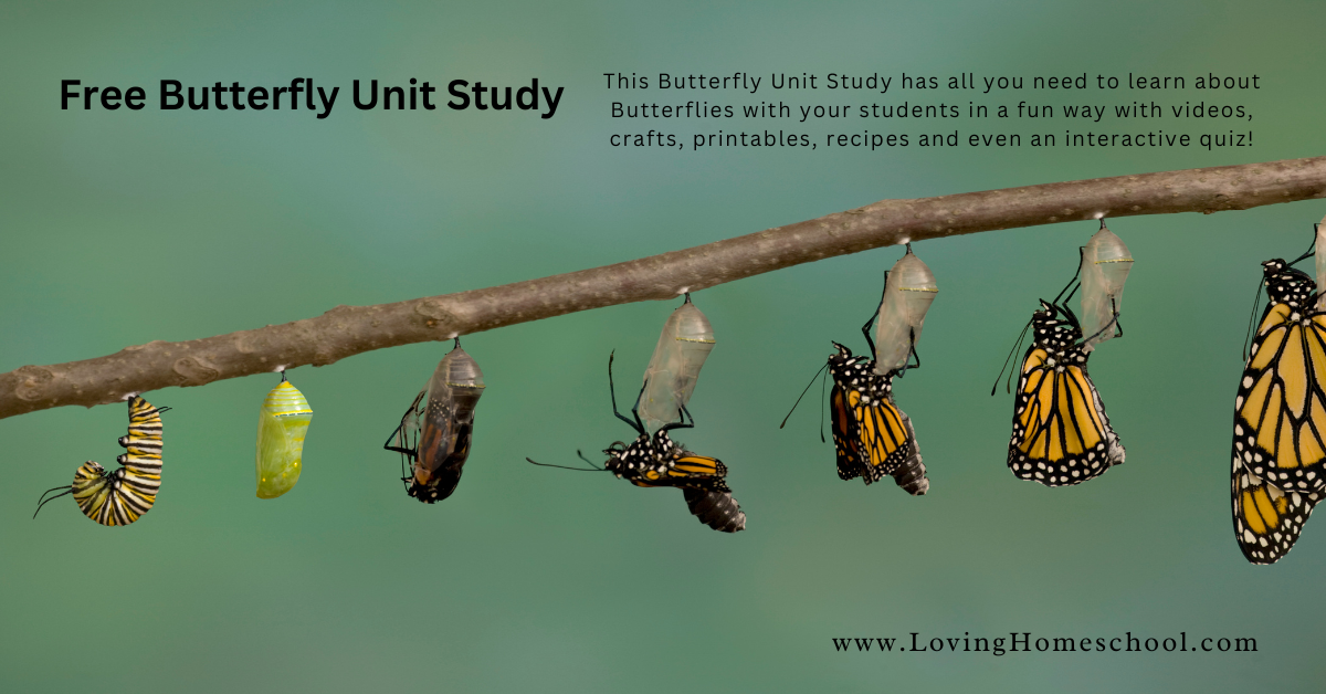 Butterfly Unit Study - LovingHomeschool.com