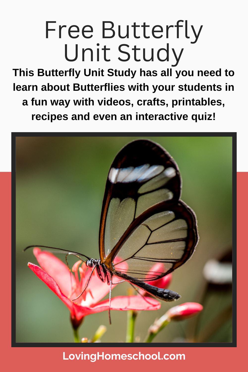 Butterfly Unit Study - LovingHomeschool.com
