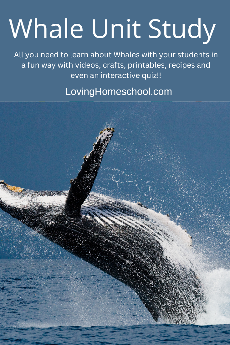 Whale Unit Study - LovingHomeschool.com