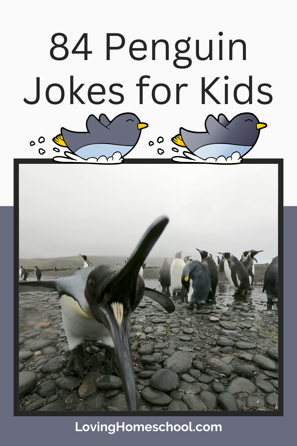 84 Penguin Jokes for Kids - LovingHomeschool.com
