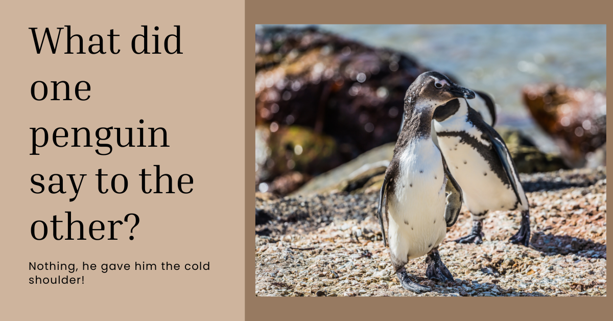 84 Penguin Jokes for Kids - LovingHomeschool.com