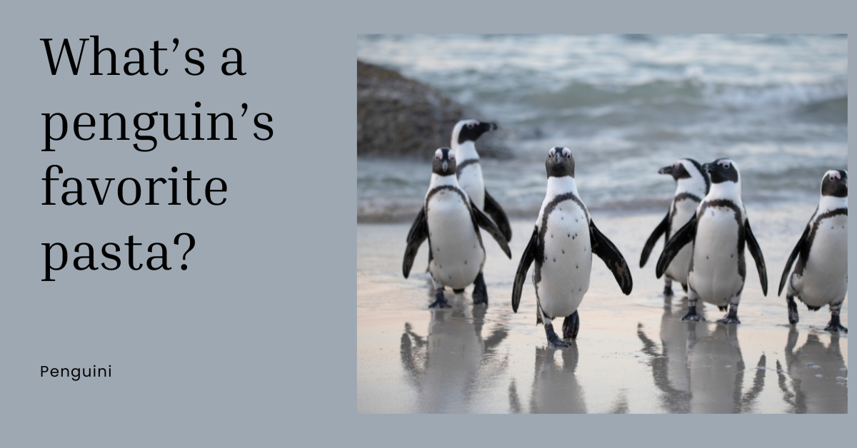 84 Penguin Jokes for Kids - LovingHomeschool.com
