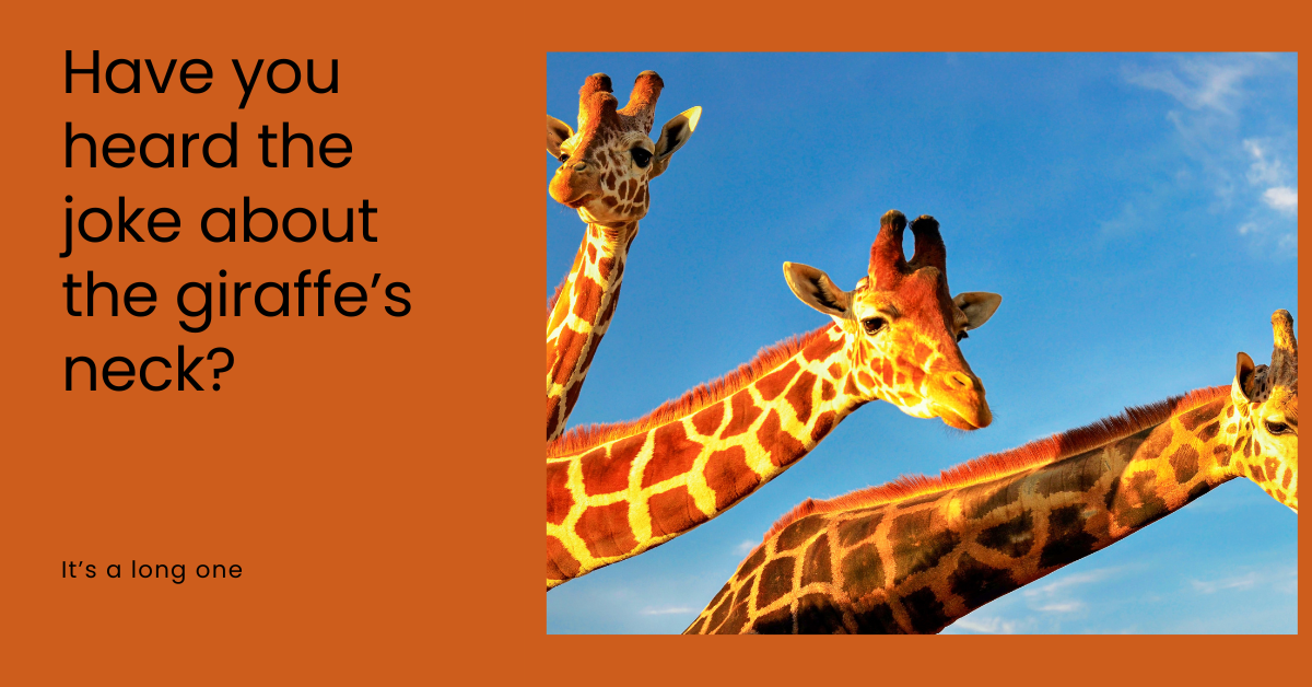117 Giraffe Jokes for Kids - LovingHomeschool.com