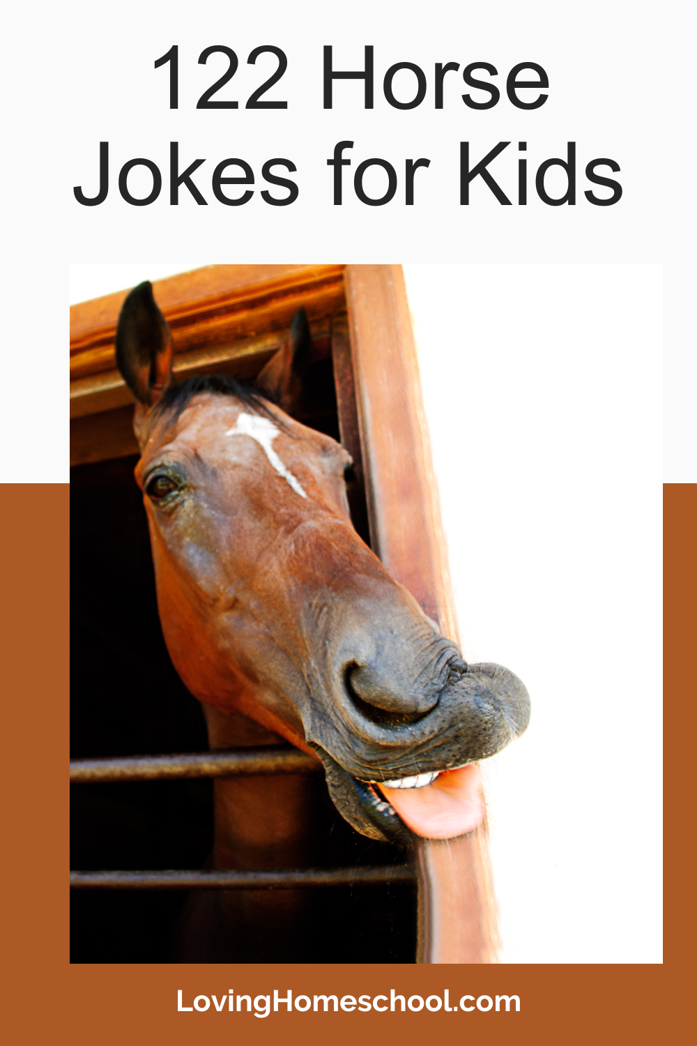 122 Horse Jokes for Kids - LovingHomeschool.com