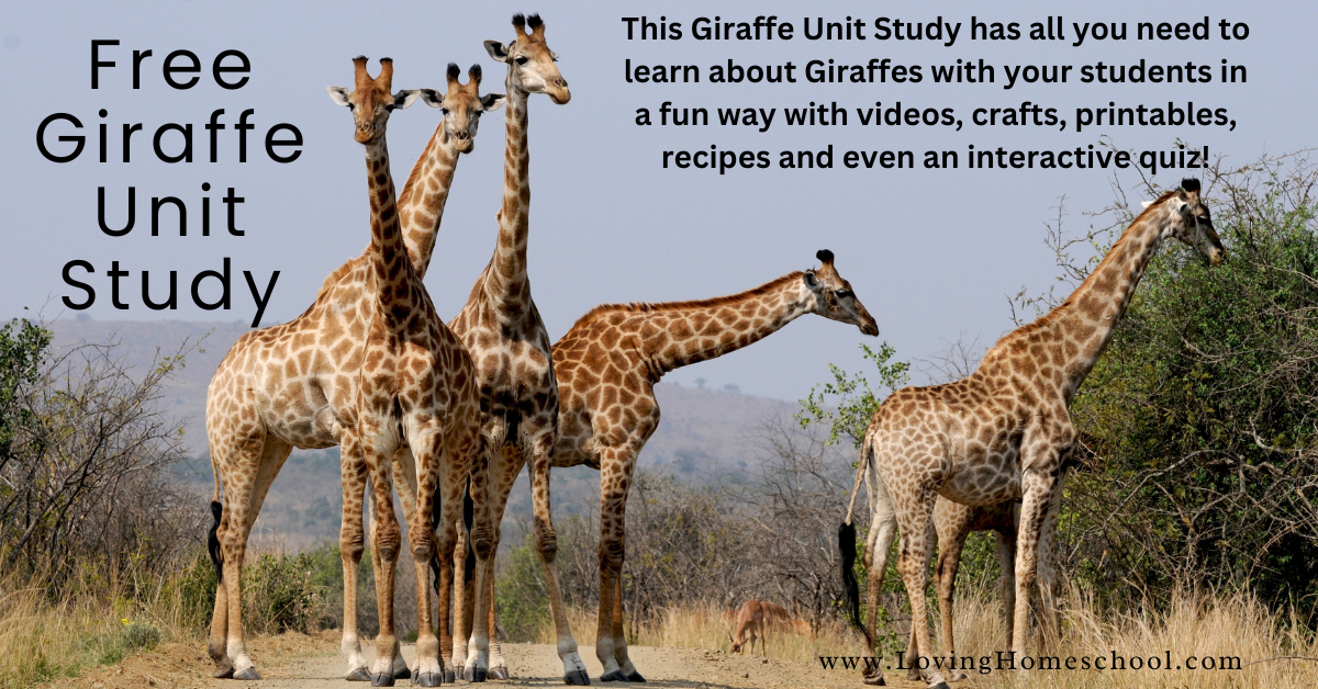 Giraffe Unit Study - LovingHomeschool.com