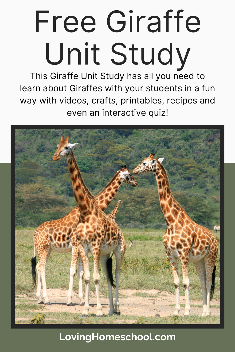 Giraffe Unit Study - LovingHomeschool.com