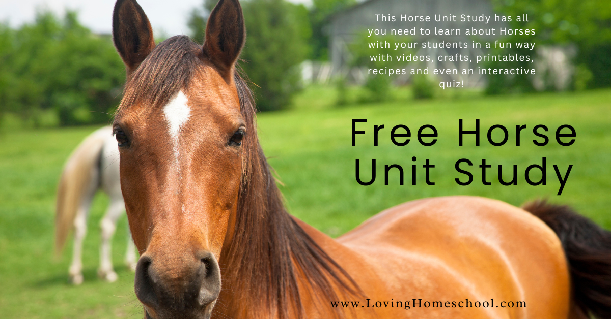 Horse Unit Study - LovingHomeschool.com