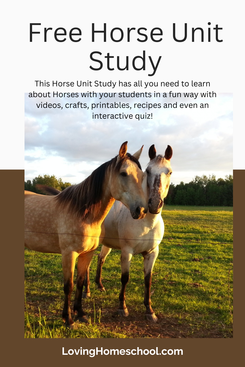 Horse Unit Study - LovingHomeschool.com