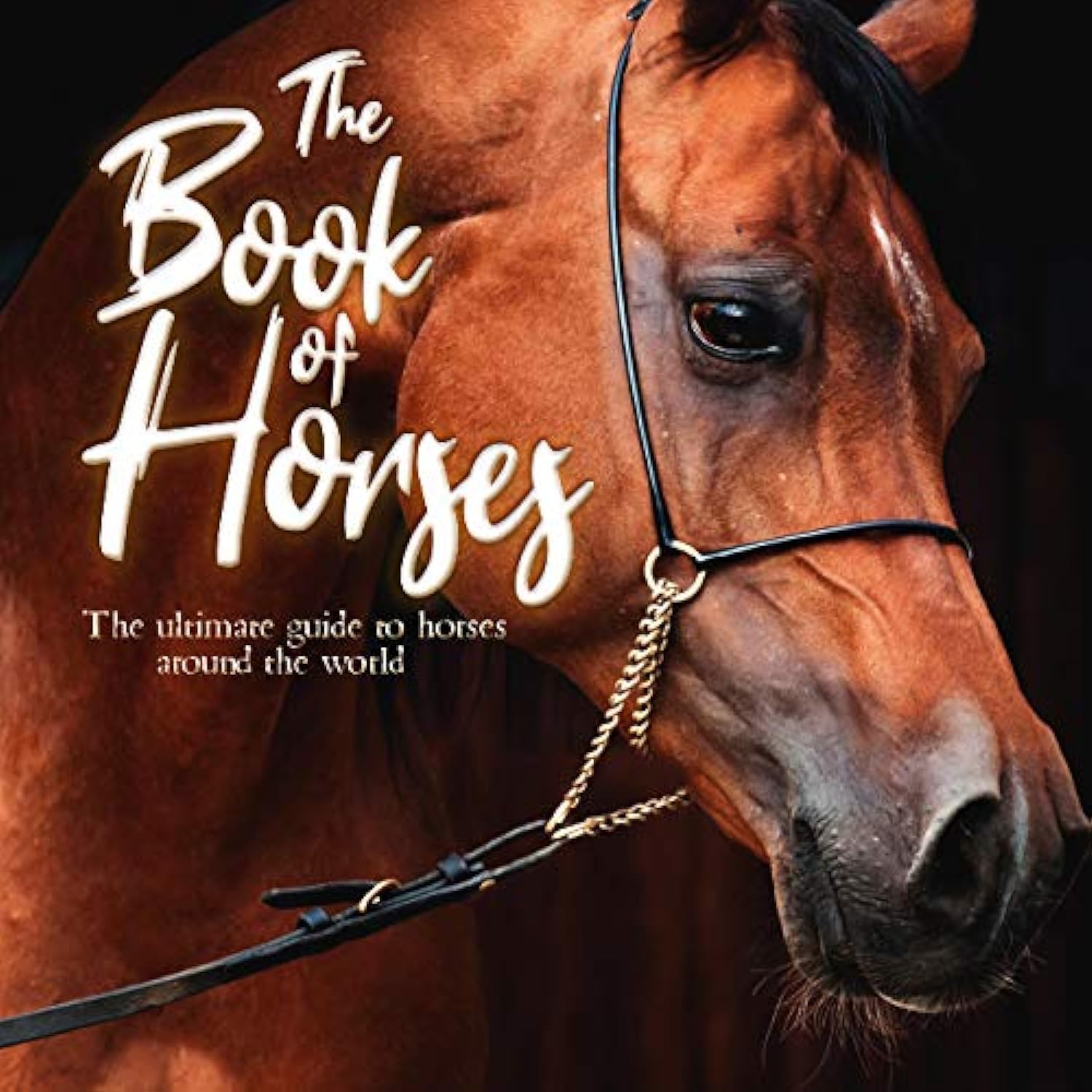 Horse Unit Study - LovingHomeschool.com