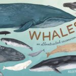 15 Free Whale Coloring Pages - LovingHomeschool.com