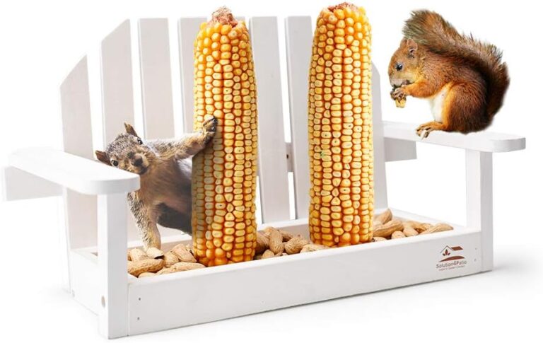 50 Squirrel Jokes for Kids - LovingHomeschool.com