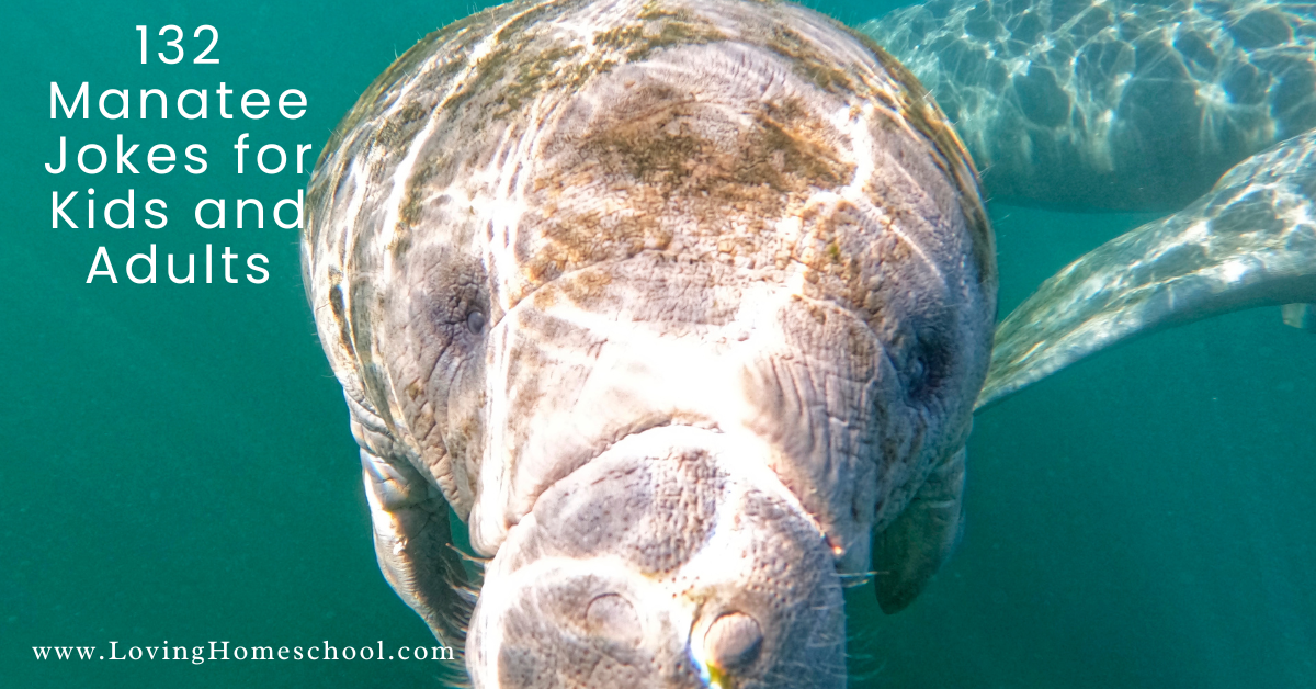 132 Manatee Jokes - LovingHomeschool.com