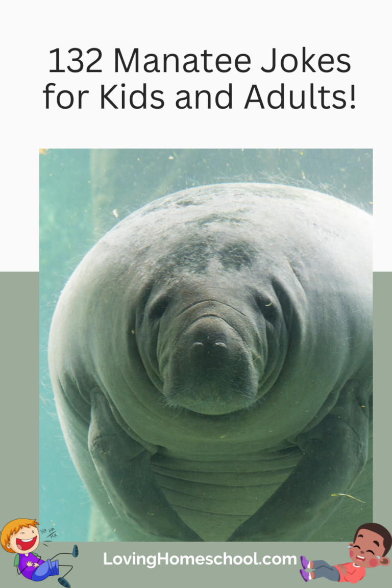 132 Manatee Jokes - LovingHomeschool.com