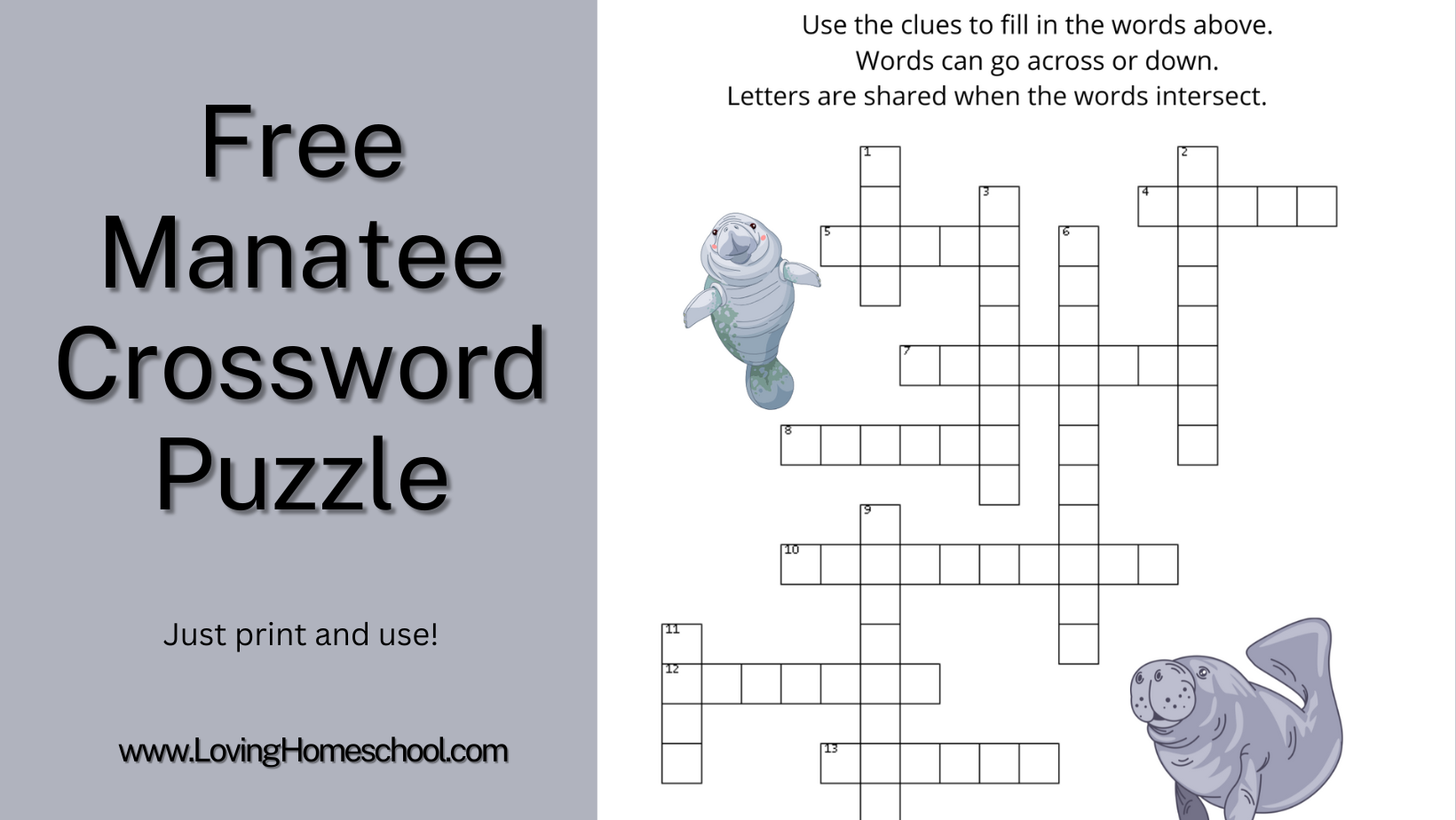 Free Manatee Crossword Puzzle - LovingHomeschool.com
