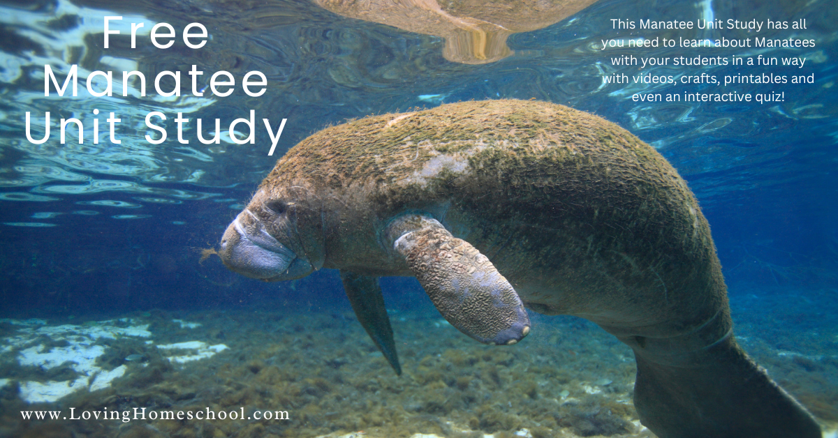 Free Manatee Unit Study - LovingHomeschool.com