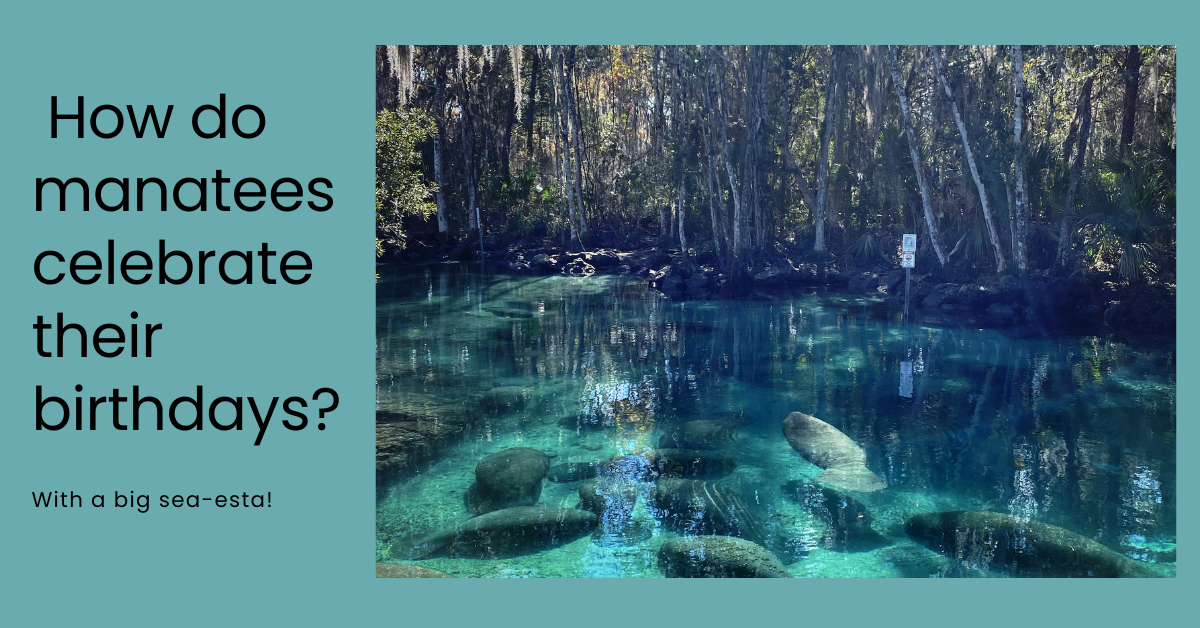 132 Manatee Jokes - LovingHomeschool.com