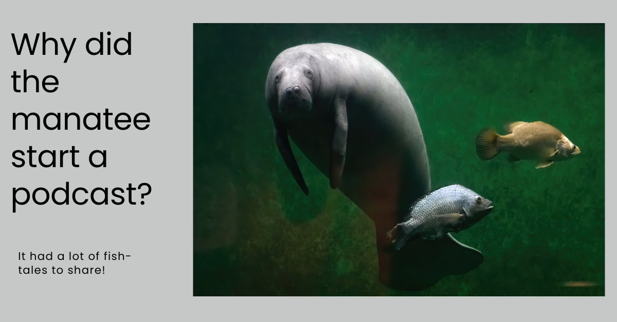 132 Manatee Jokes - LovingHomeschool.com