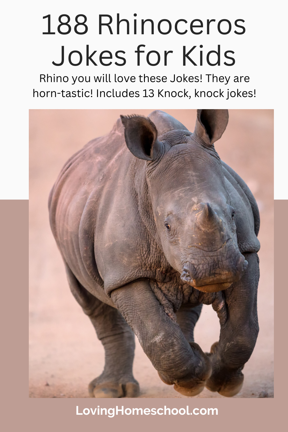 188 Rhinoceros Jokes for Kids - LovingHomeschool.com