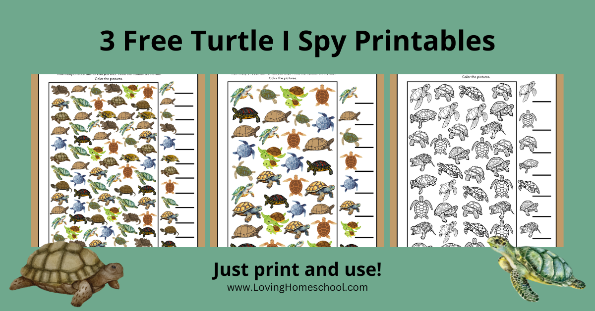 Turtle I Spy Printables - LovingHomeschool.com