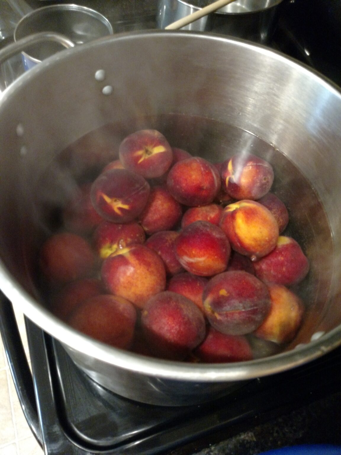 How to Can Peaches with a Boiling Water Canner - LovingHomeschool.com