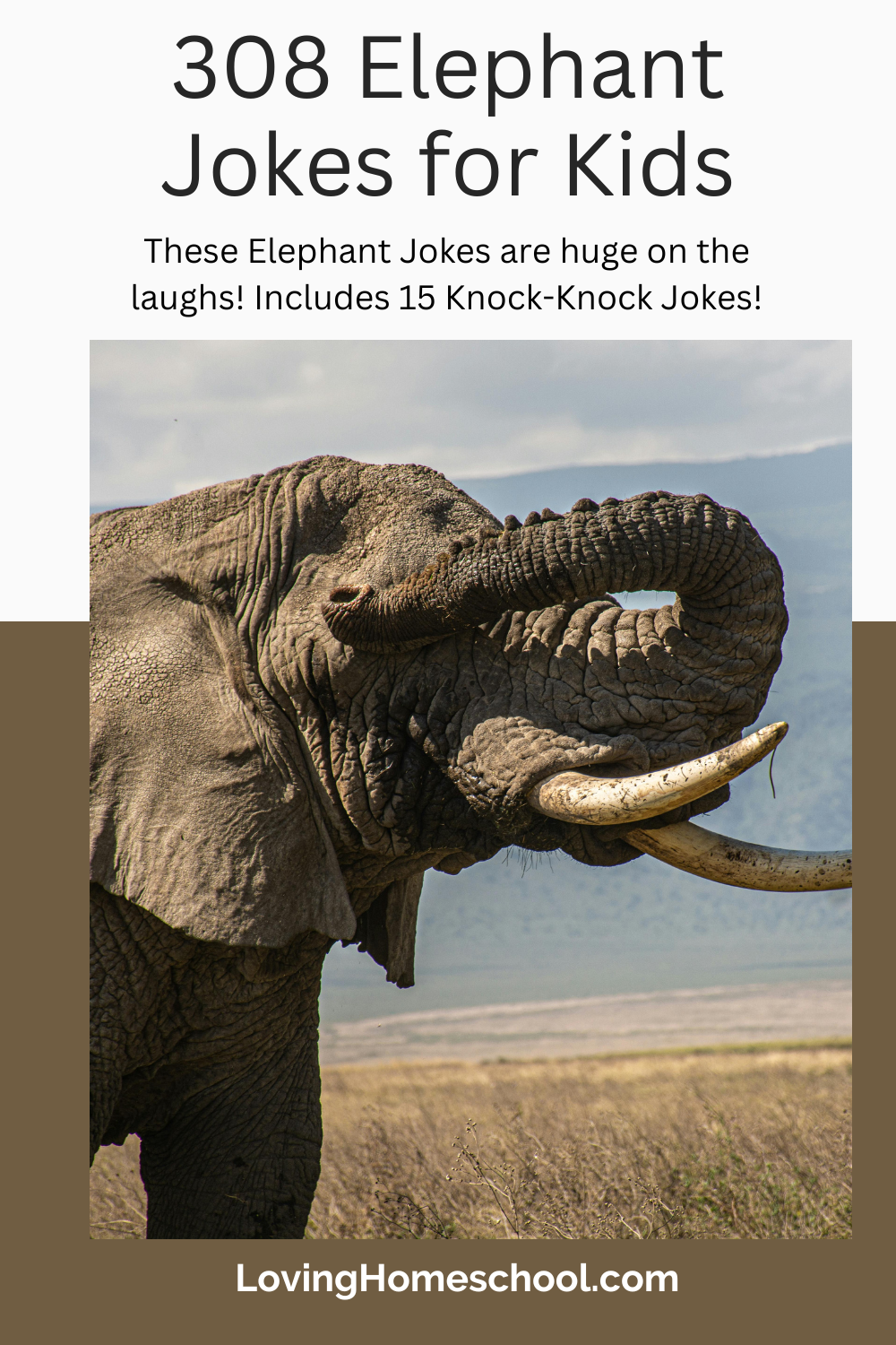 308 Elephant Jokes for Kids - LovingHomeschool.com