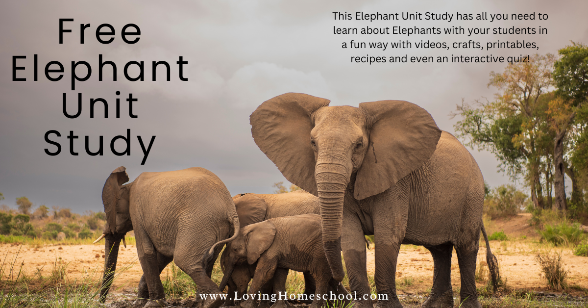 Elephant Unit Study - LovingHomeschool.com