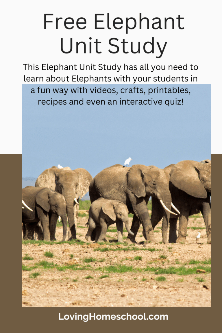 FREE I Spy Printables - LovingHomeschool.com