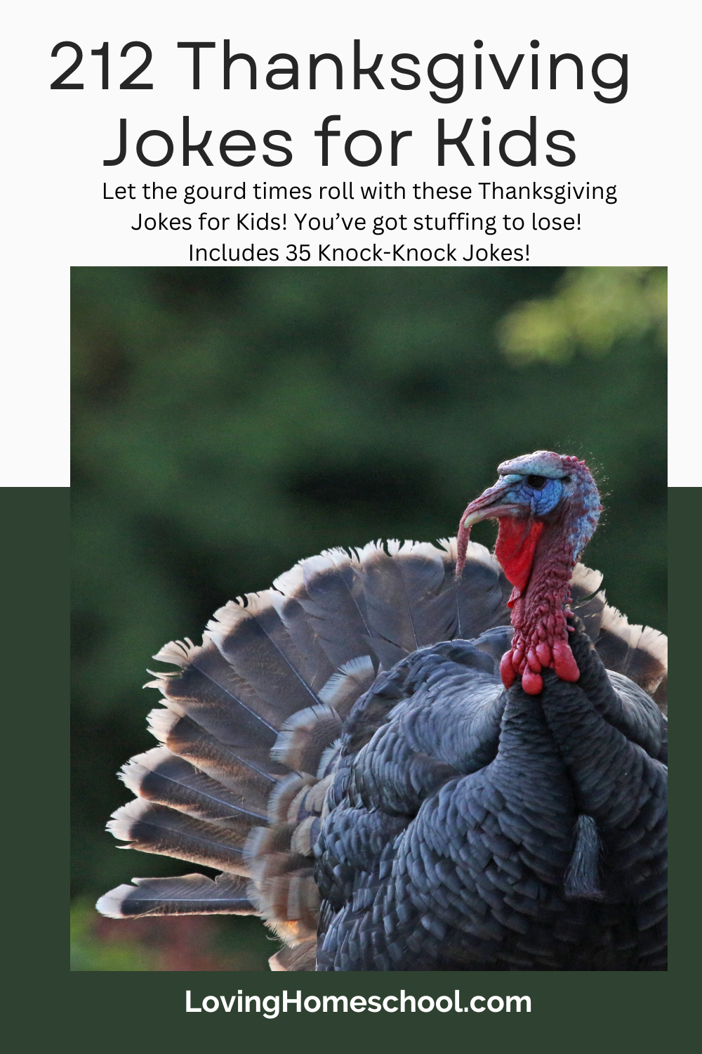 212 Thanksgiving Jokes for Kids - LovingHomeschool.com