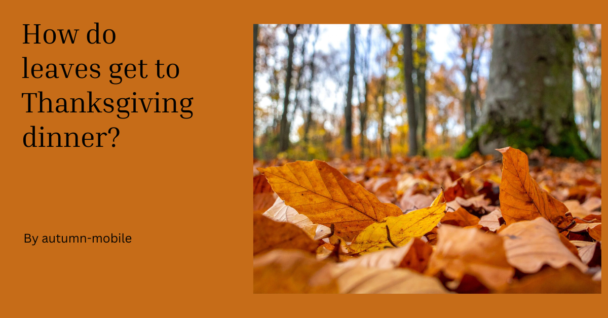 212 Thanksgiving Jokes for Kids - LovingHomeschool.com